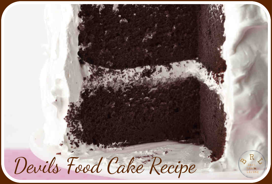 Devils Food Cake with Butter Cream Frosting Delicious!