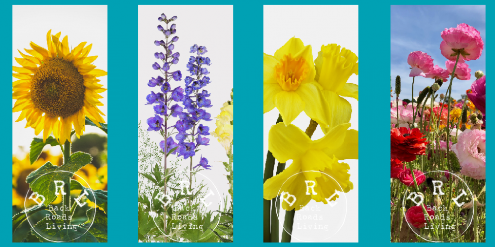 Printable Flower Bookmarks So Pretty - Back Roads Living